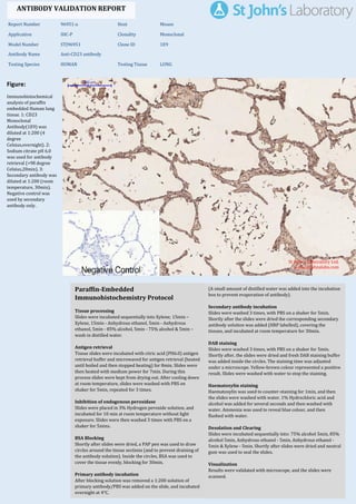 Immunohistochemistry Antibody Validation Report for Anti-CD23 Antibody ...
