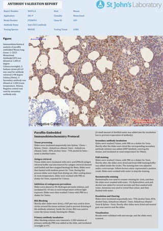 Immunohistochemistry Antibody Validation Report for Anti-CD23 Antibody ...