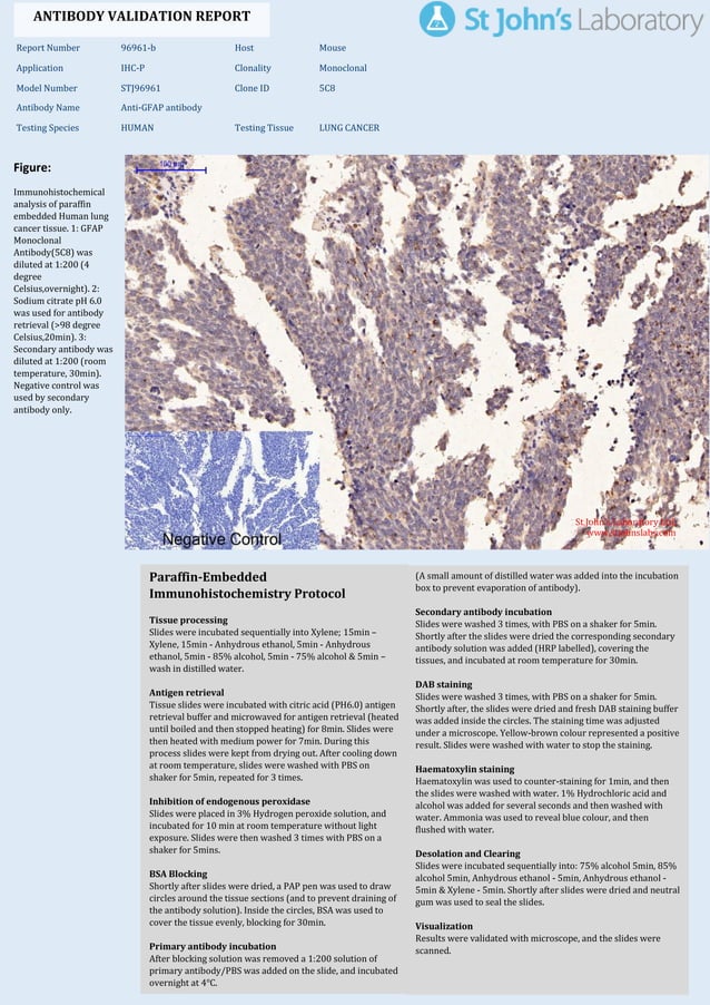 Immunohistochemistry Antibody Validation Report for Anti-GFAP Antibody ...