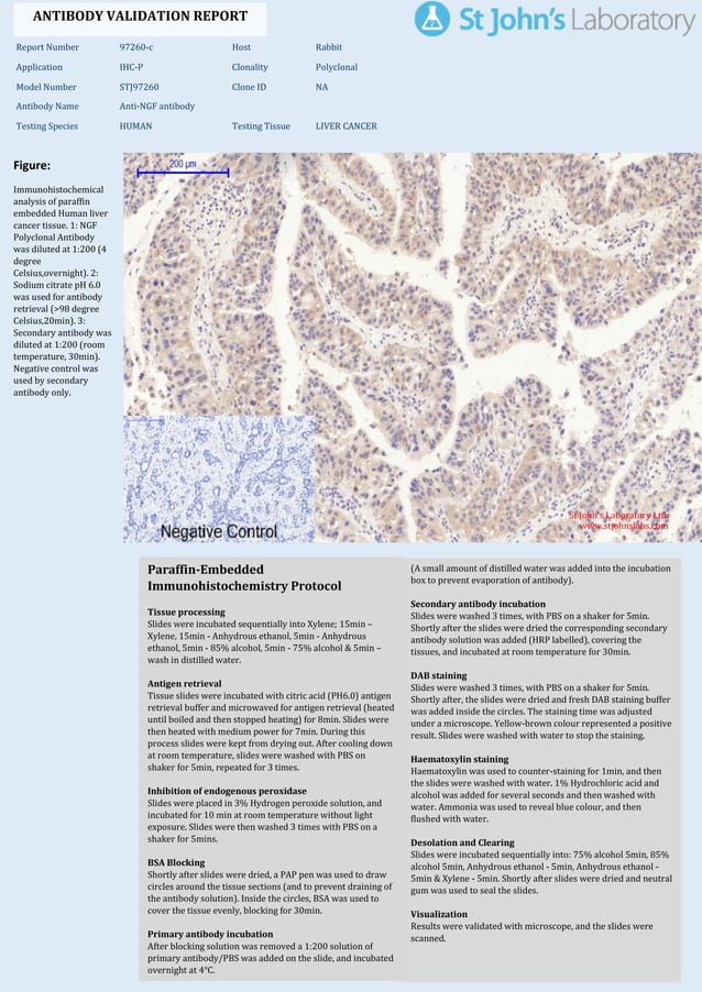 Immunohistochemistry Antibody Validation Report for Anti-NGF Antibody ...