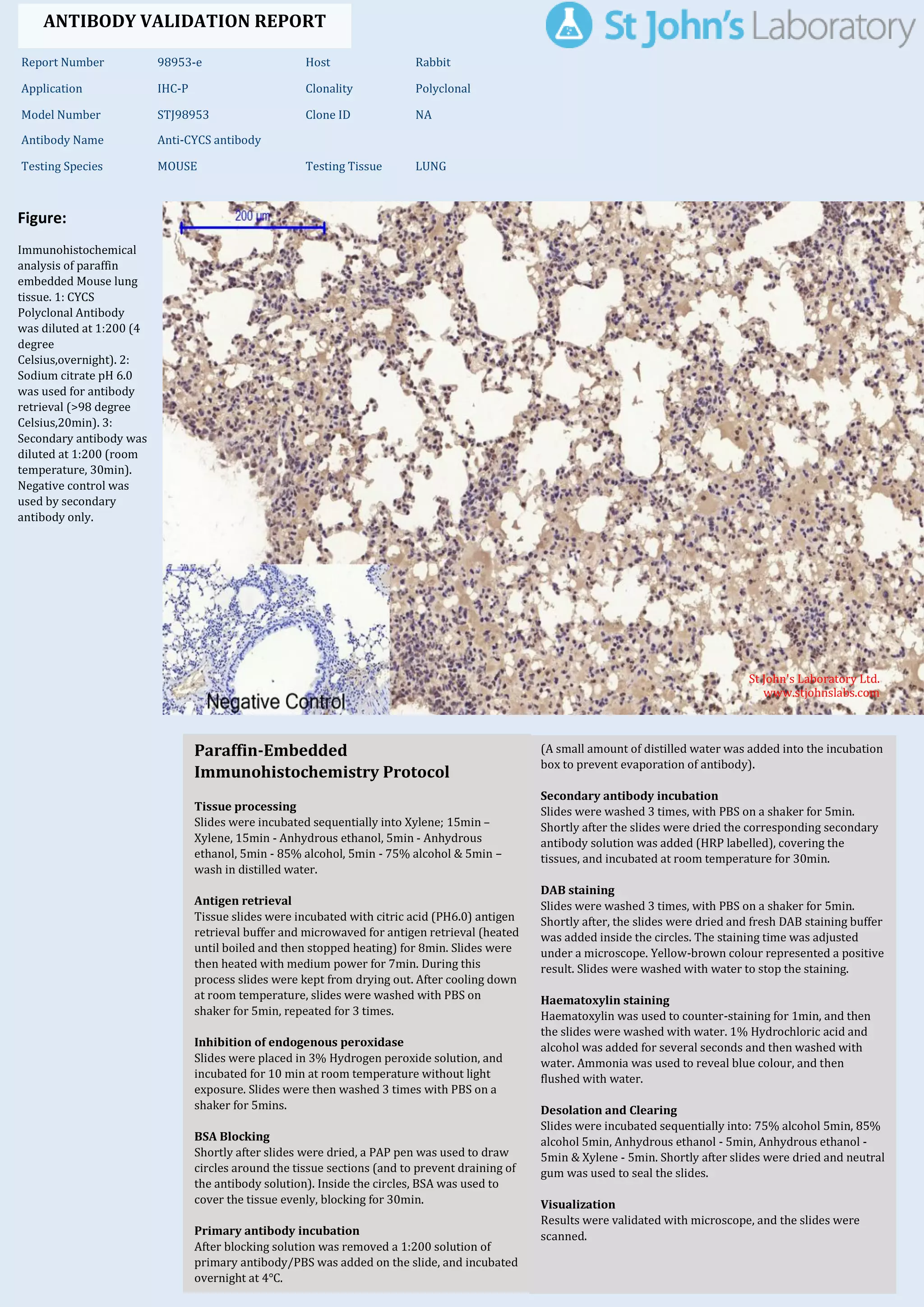 Immunohistochemistry Antibody Validation Report for Anti-CYCS Antibody ...