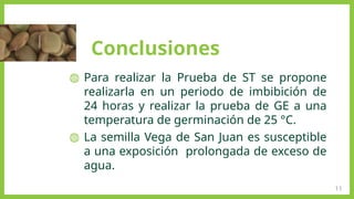 prueba de remojo de semilla Jicama Agro LRZ.pptx