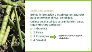 prueba de remojo de semilla Jicama Agro LRZ.pptx