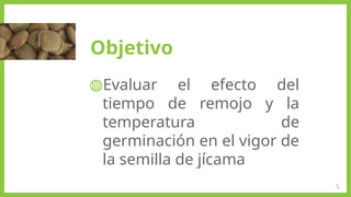 prueba de remojo de semilla Jicama Agro LRZ.pptx