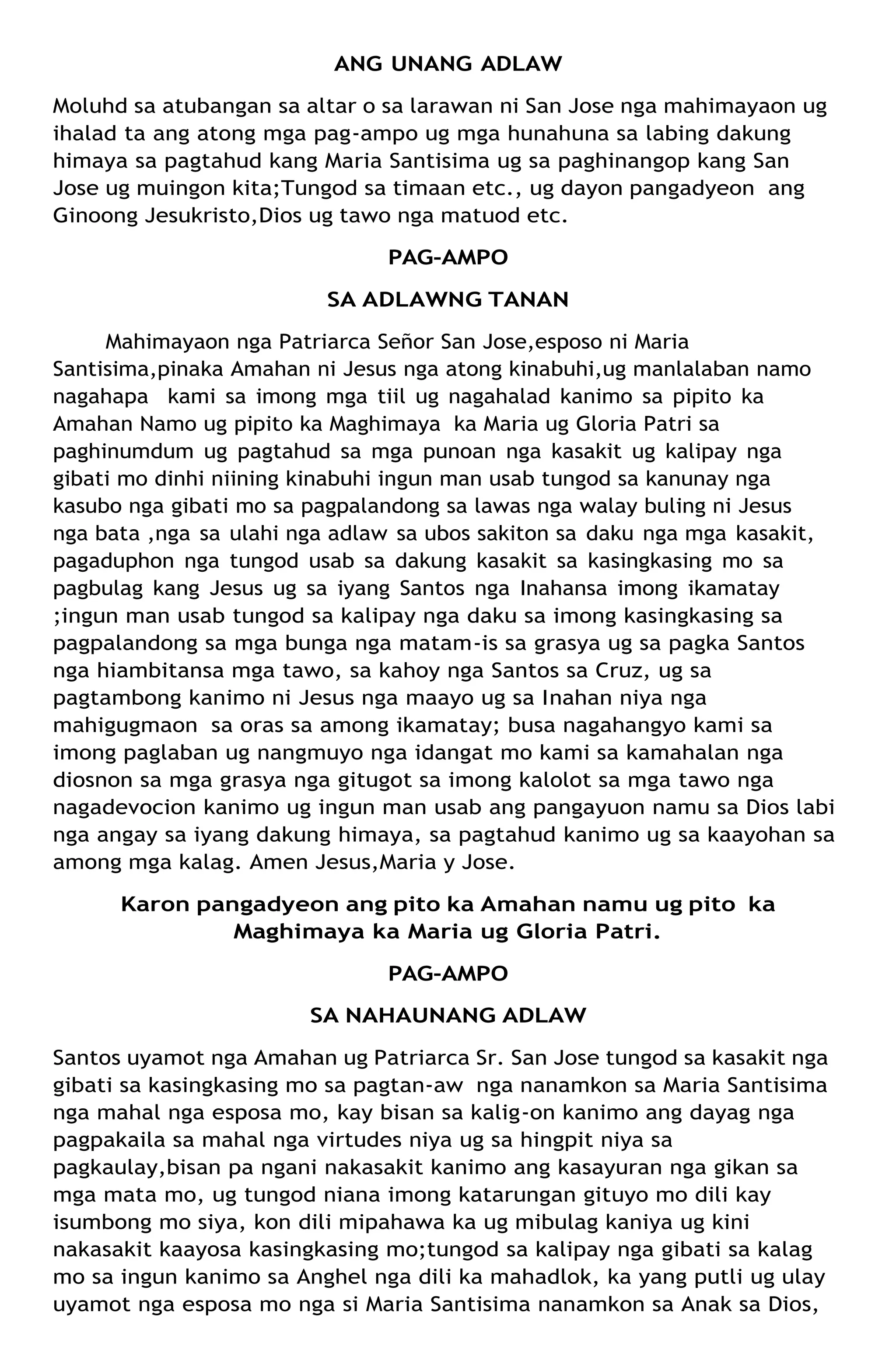 St Joseph Novena. for Fiesta Celebration docx | DOCX