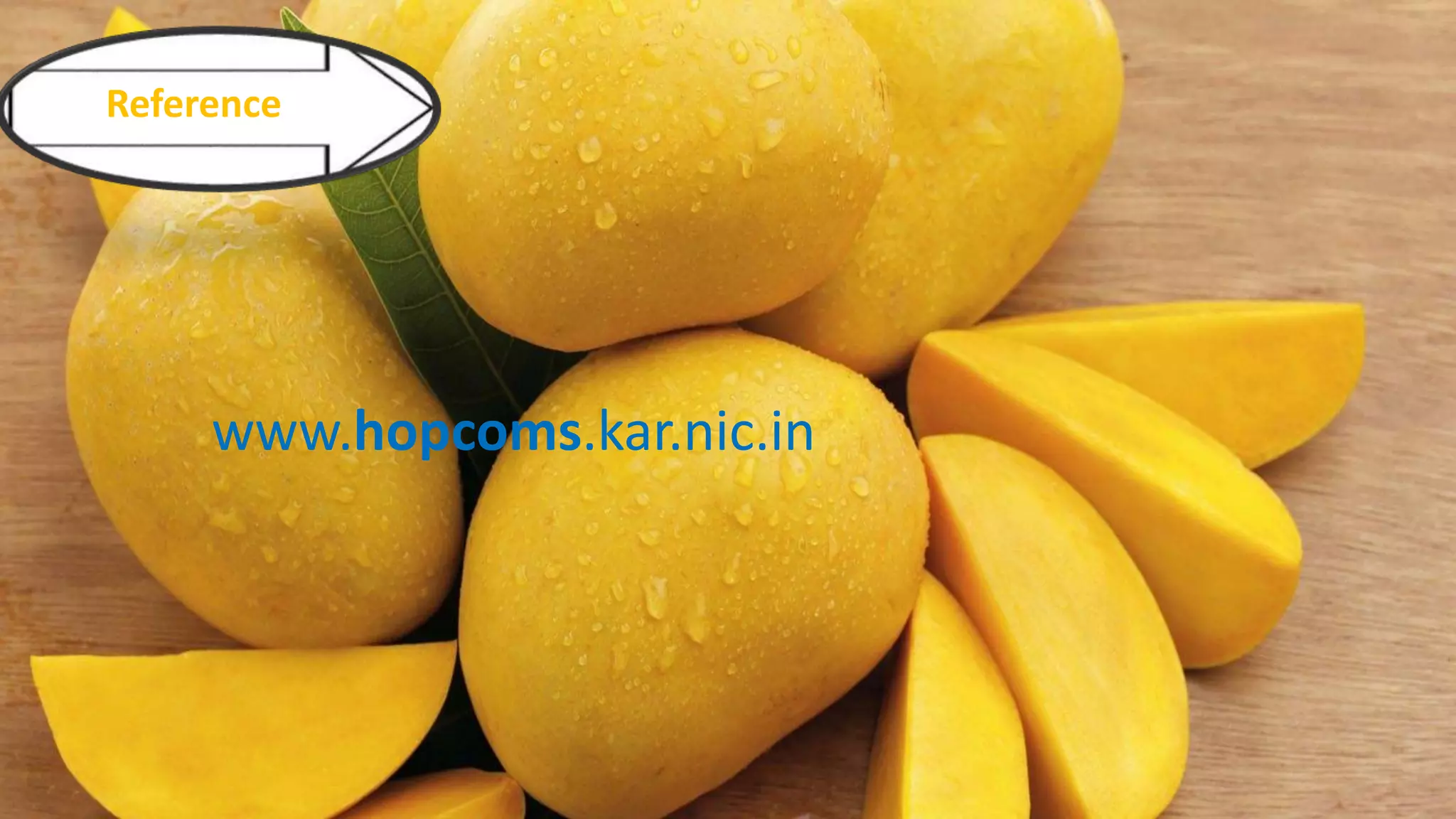 HOPCOM'S ppt presented by shrikantha | PPTX