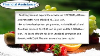 HOPCOM'S ppt presented by shrikantha | PPTX