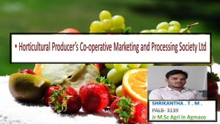 HOPCOM'S ppt presented by shrikantha | PPTX