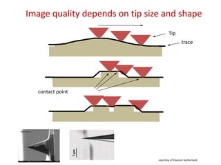 Scanning Tunneling Microscope and Atomic Tunneling Microscope | PPTX