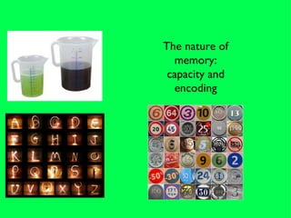 STM and LTM: Capacity and Encoding | PPT
