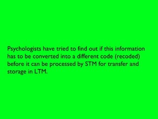 STM and LTM: Capacity and Encoding | PPT