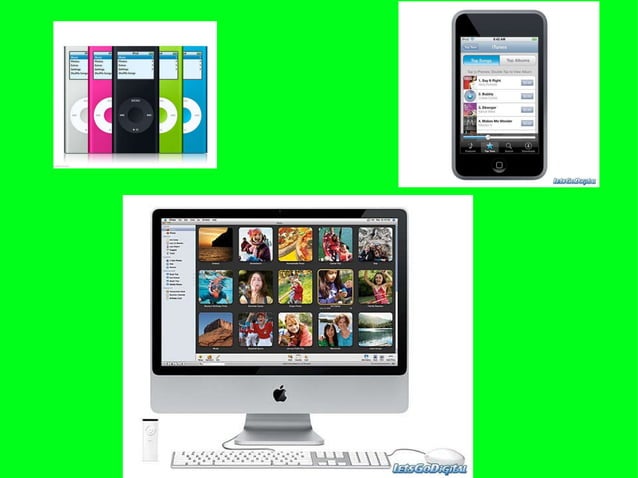 STM and LTM: Capacity and Encoding | PPT