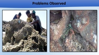 Management Problems & Recommendations in St. Martin's Island ...
