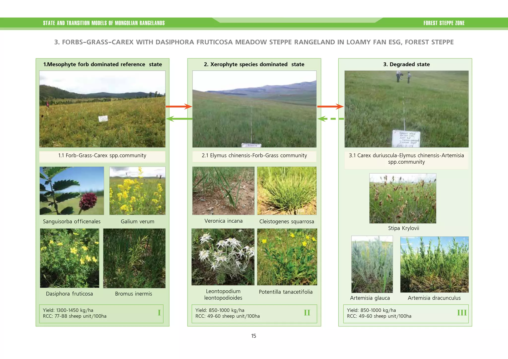 State and transition models of Mongolia's rangelands, 2018 | PDF