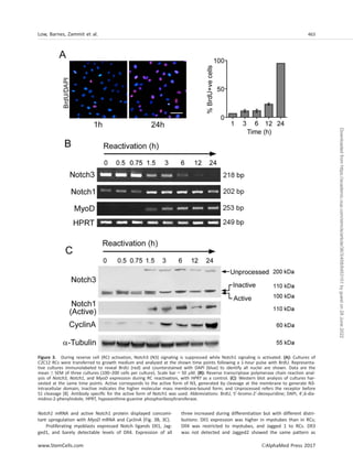 stmcls_36_3_458_Siew_Hui_Low.pdf