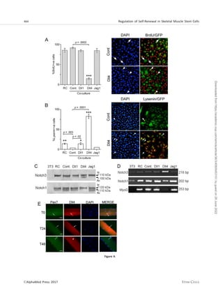 stmcls_36_3_458_Siew_Hui_Low.pdf