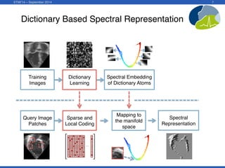Sparsity Based Spectral Embedding: Application to Multi-Atlas Echocardiography Segmentation | PPT