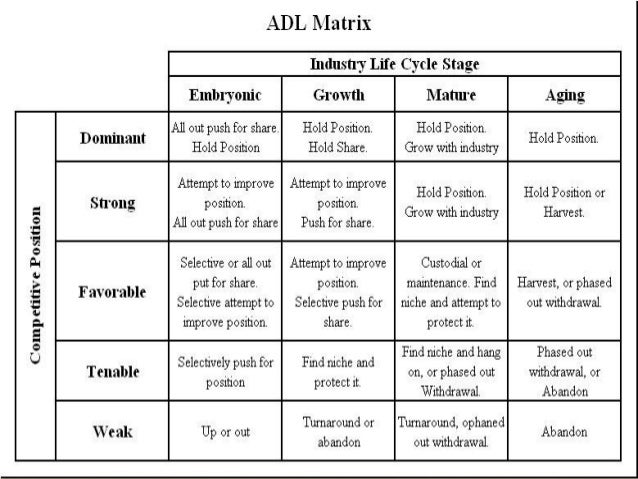 STRATEGIC MANAGEMENT