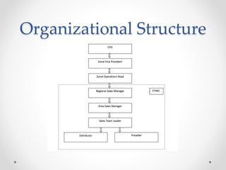 Sales Force Structure at Hindusthan Coca Cola Pvt Ltd | PPTX