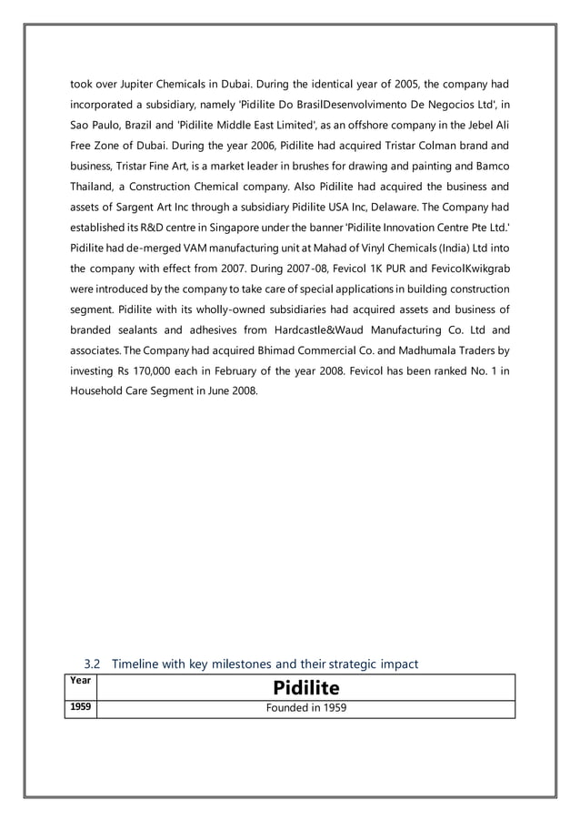 Stm pidilite group2_section_b | PDF