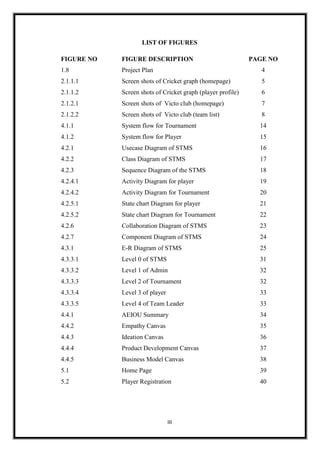 SPORT TOURNAMENT MANAGMENT SYSTEM (STMS) | PDF