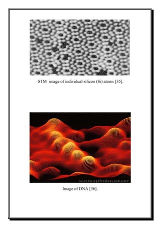 Scanning Tunneling Microscope Dna