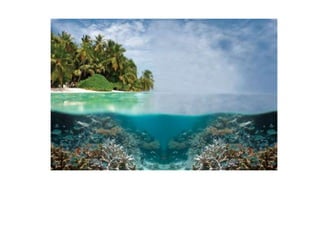 my project in ap | PPTX