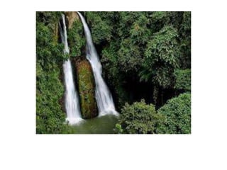 my project in ap | PPT