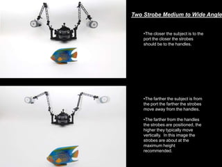 Strobe Positioning | PPTX | Photography | Arts and Crafts