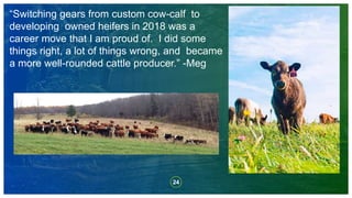 Stocker Cattle for Beginners | PPTX