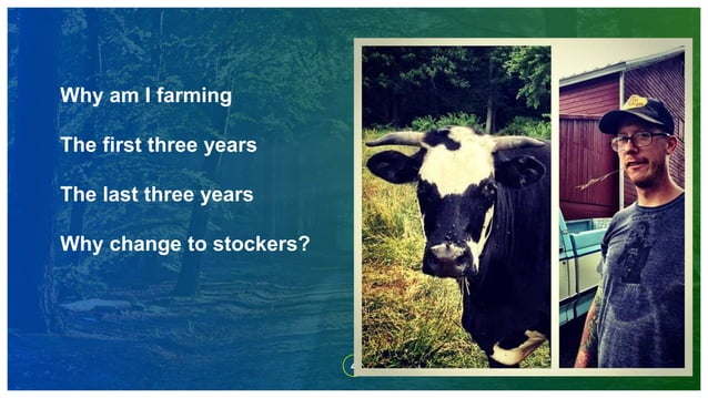 Stocker Cattle for Beginners | PPTX | Agriculture | Industries