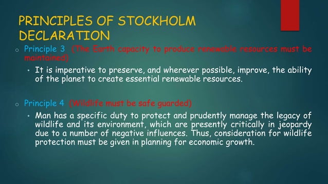 stockholm declaration.pptx