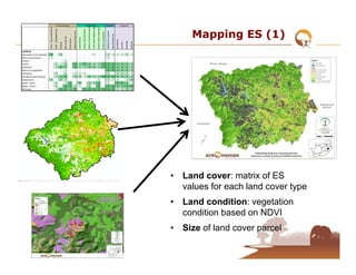 Managing land and water at meso-scales: a case study from South Africa ...