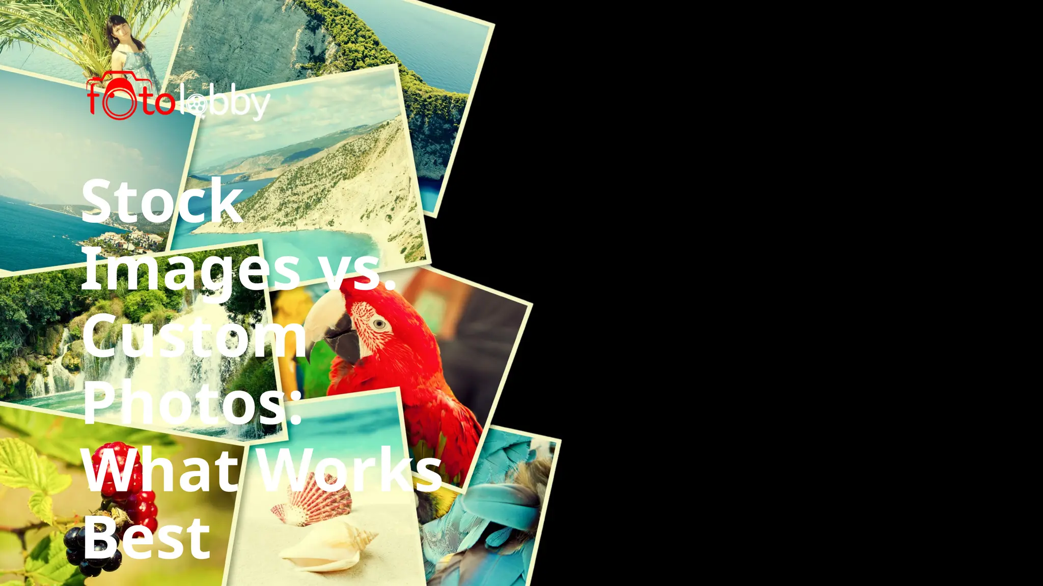 Stock Images vs. Custom Photos What Works Best.pptx