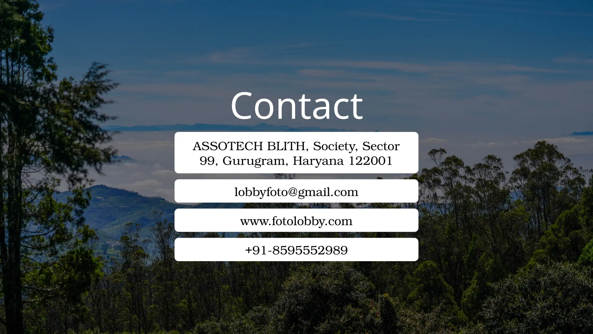 Stock Images vs. Custom Photos What Works Best.pptx