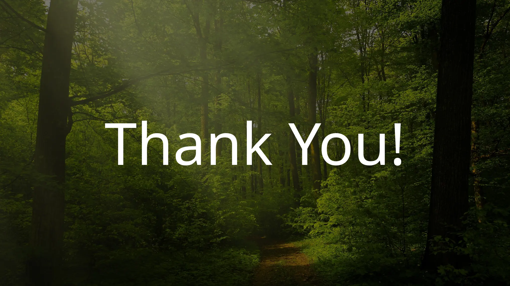 Stock Images vs. Custom Photos What Works Best.pptx