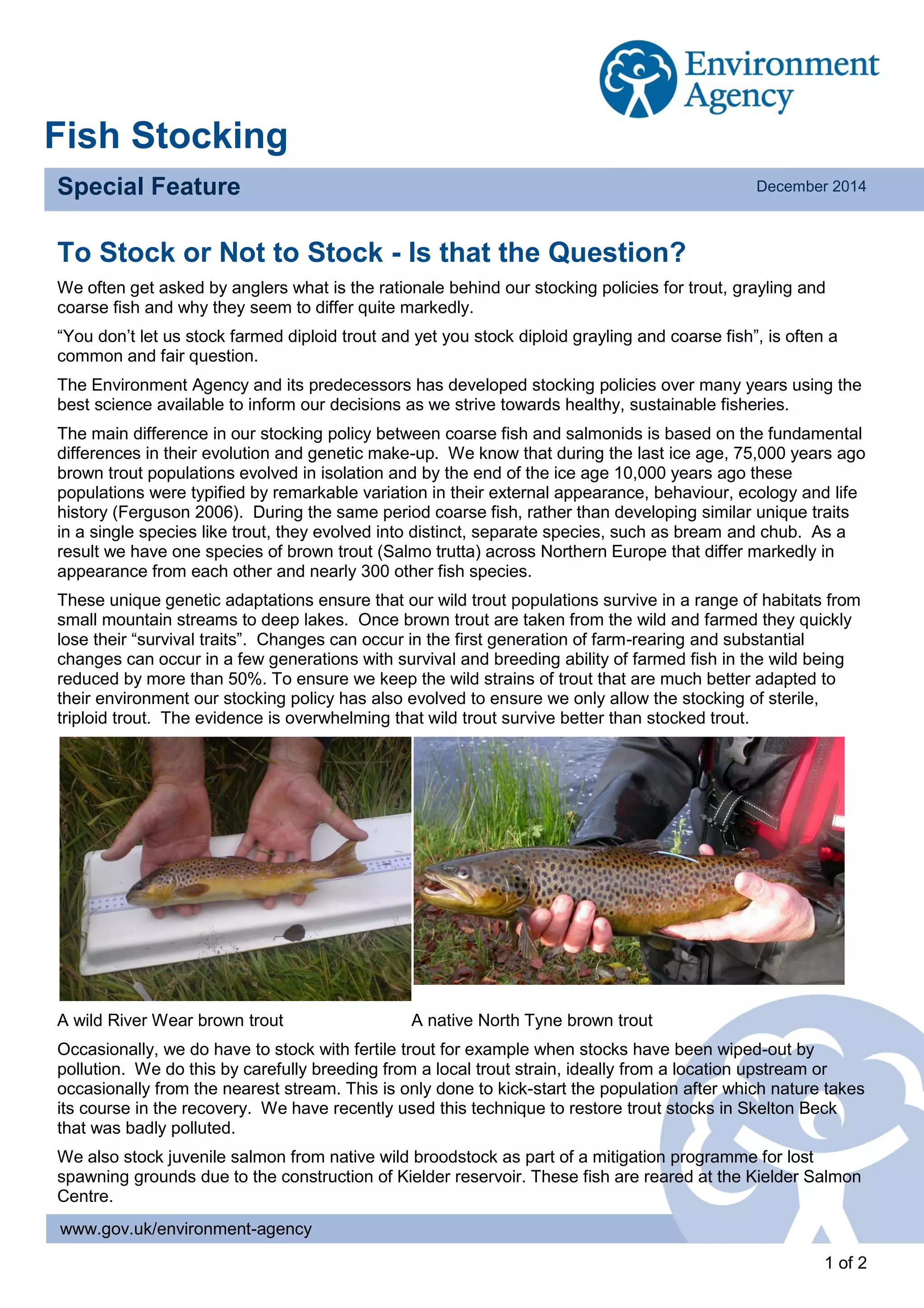 Stocking feature | PDF