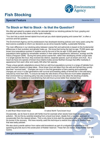 Stocking feature | PDF