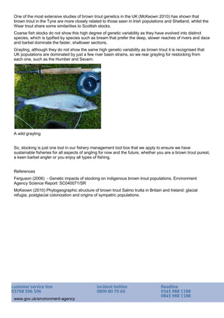 Stocking feature | PDF