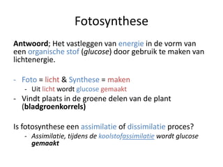 Stofwisseling fotosynthese en verbranding | PPTX | Chemistry | Science