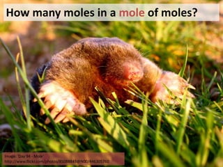 Stoichiometry & The Mole | PPTX