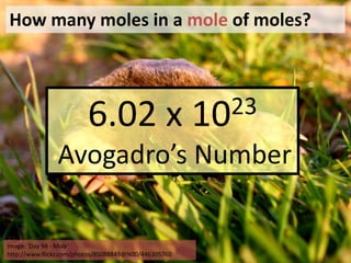 Stoichiometry & The Mole | PPTX