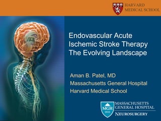 MECHANICAL THROMBECTOMY IN ACUTE ISCHEMIC STROKE | PDF