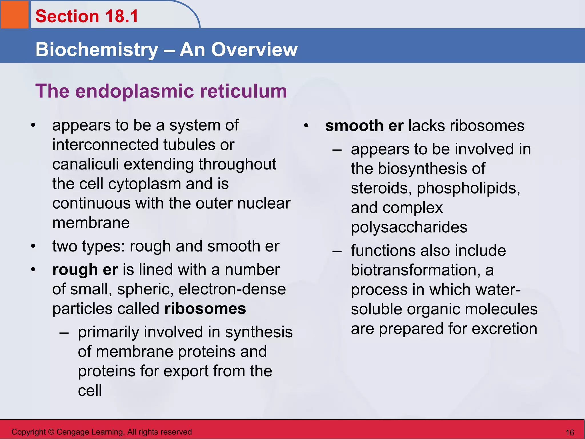 Chem 45 Biochemistry: Stoker chapter 18 Introduction – Cell Structure | PDF