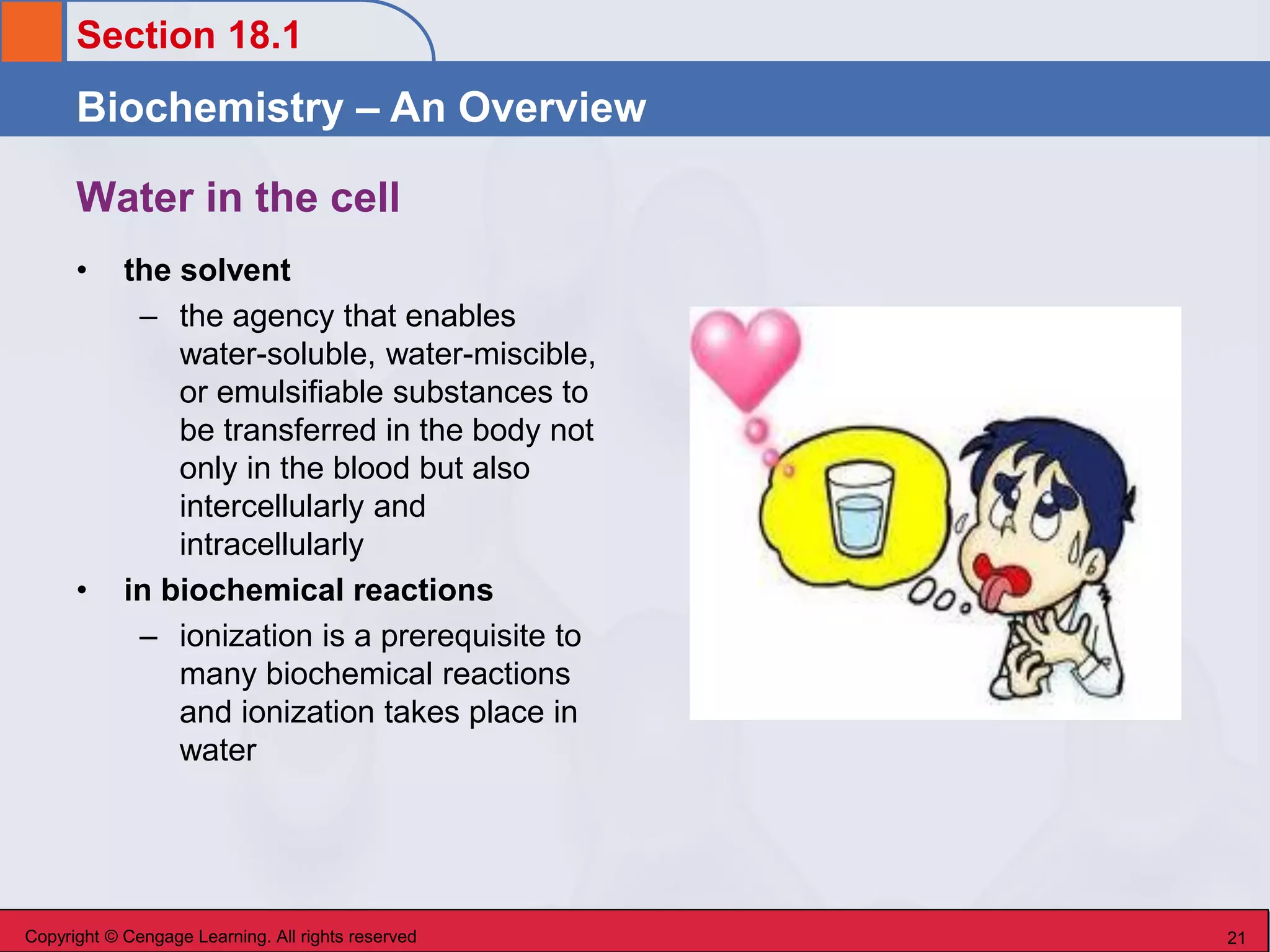 Chem 45 Biochemistry: Stoker chapter 18 Introduction – Cell Structure | PDF