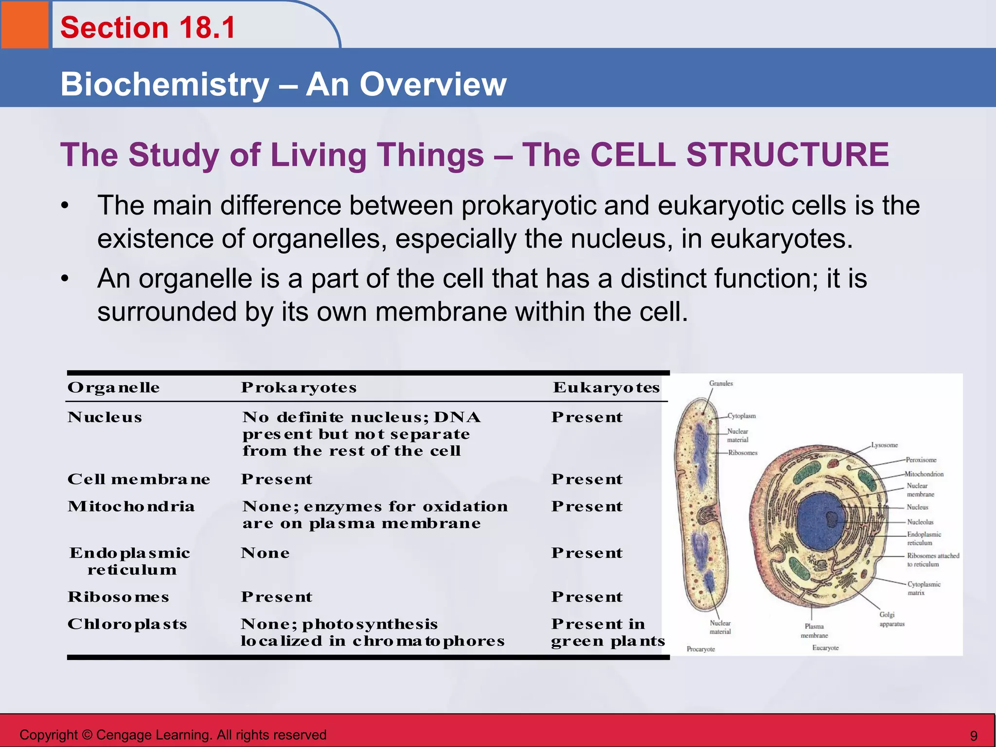 Chem 45 Biochemistry: Stoker chapter 18 Introduction – Cell Structure | PDF