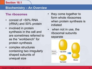 Chem 45 Biochemistry: Stoker chapter 18 Introduction – Cell Structure | PDF