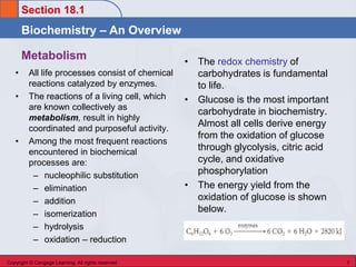Chem 45 Biochemistry: Stoker chapter 18 Introduction – Cell Structure | PDF