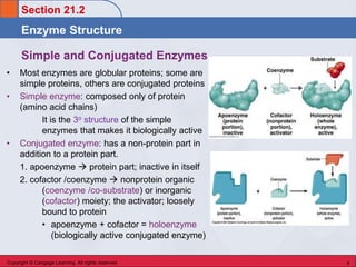 Simple Enzyme Structure