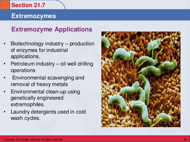 Chem 45 Biochemistry: Stoker Chapter 21 Enzymes & Vitamins